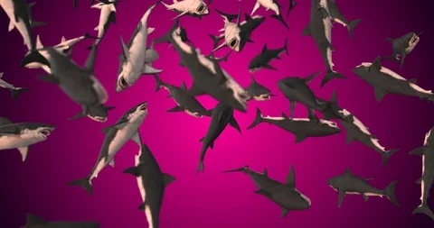 sharks falling loop | Stock Video | Pond5