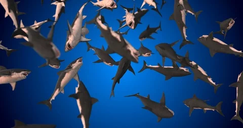 sharks falling loop | Stock Video | Pond5