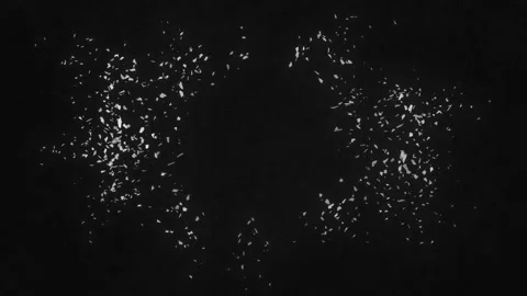 Shattered Word Risk. Explosion fractured... | Stock Video | Pond5