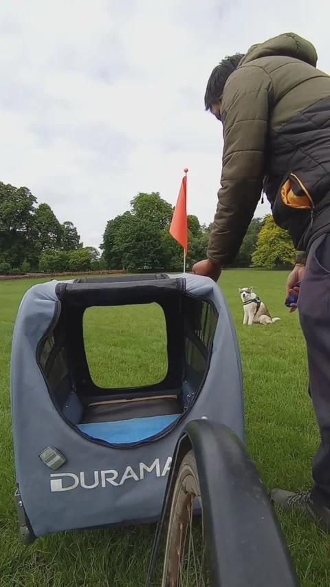 My Whole Name Stock Videos – Royalty-Free HD & 4K Videos