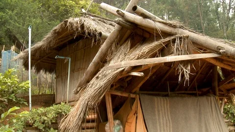 A shed made of wood, lumbers, and native... | Stock Video | Pond5
