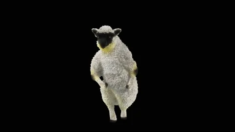 Sheep Dancing, with Alpha matte. | Stock Video | Pond5