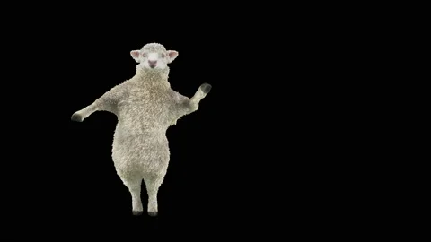 Sheep Dancing, with Alpha matte. | Stock Video | Pond5