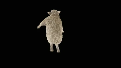 Sheep Dancing, with Alpha matte. | Stock Video | Pond5