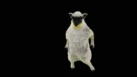 Sheep Dancing, with Alpha matte. | Stock Video | Pond5