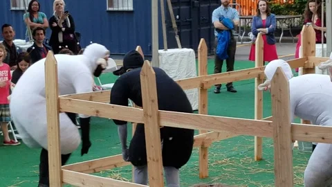 Humans Mating Videos Stock Videos – Royalty-Free HD & 4K Videos