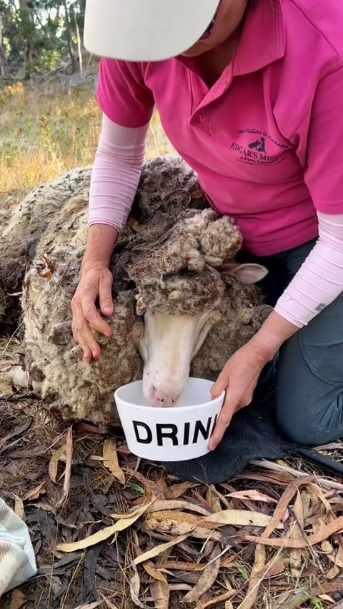 Weigh For Stone Stock Videos – Royalty-Free HD & 4K Videos