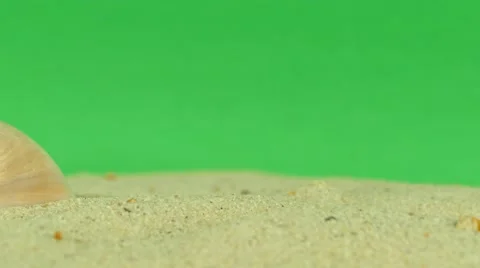 shell on beach with green screen 4k Foot... | Stock Video | Pond5