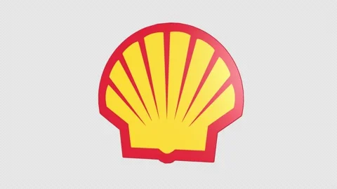 3D Shell Stock Footage ~ Royalty Free Stock Videos | Pond5