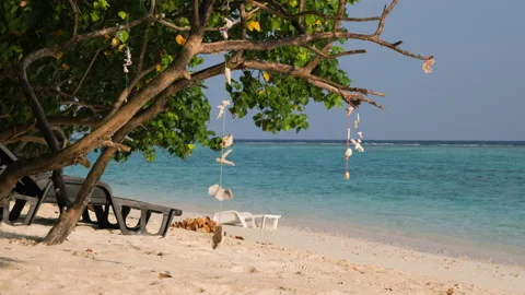 Shells and corals hanging on rope on the... | Stock Video | Pond5