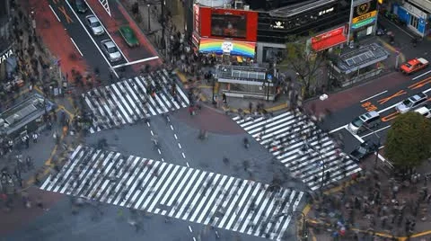 Walking L Stock Videos – Royalty-Free HD & 4K Videos | Pond5