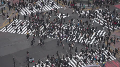 Shibuya scramble crossing crowd of peopl... | Stock Video | Pond5
