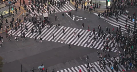 Shibuya scramble crossing crowd of peopl... | Stock Video | Pond5