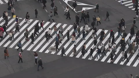 Shibuya scramble crossing crowd of peopl... | Stock Video | Pond5