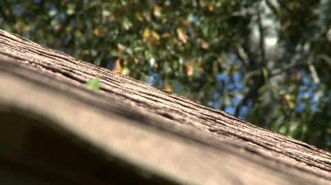 Shimmering Heat Waves Rippling Above Roo... | Stock Video | Pond5