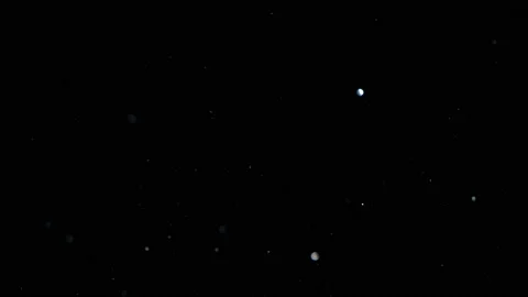 Shiny particles sparkling in the wind as... | Stock Video | Pond5