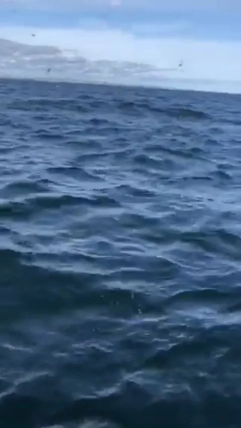 Ship Captain Thrown Overboard by Underwa... | Stock Video | Pond5