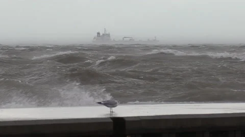 Ship stranded in wild storm of wind and ... | Stock Video | Pond5
