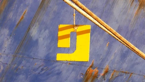 Ship Rat Stock Videos – Royalty-Free HD & 4K Videos | Pond5