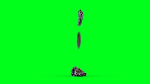 Poo Green Screen Stock Footage ~ Royalty Free Stock Videos | Pond5