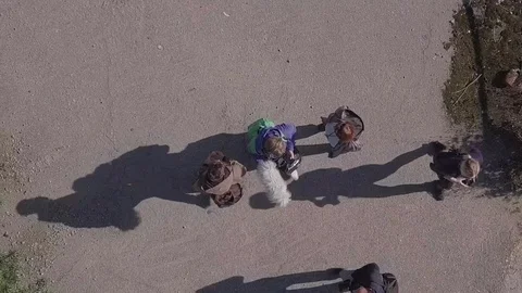 Dair Outdoor Shoot Stock Videos – Royalty-Free HD & 4K Videos | Pond5