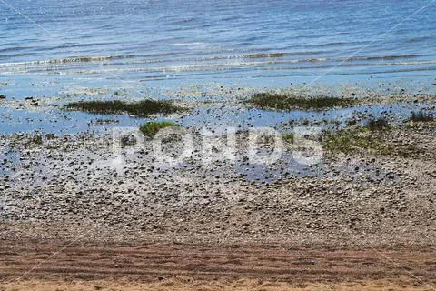 Shore of the sea. seascape with horizon line. sky with clouds. silt ...