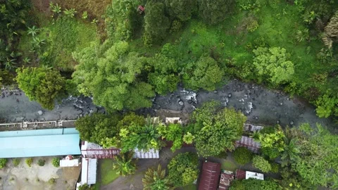 Small Short Stock Videos – Royalty-Free HD & 4K Videos