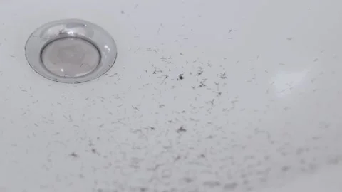 Black Short Hair Stock Videos – Royalty-Free HD & 4K Videos | Pond5