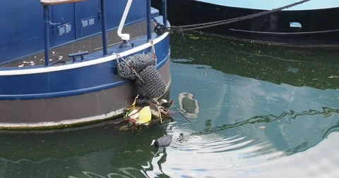 A short full HD video clip of a pair of ... | Stock Video | Pond5