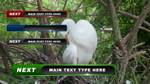 Short Lower Third ~ After Effects Project #27644828 | Pond5