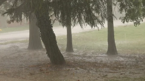 Pr Movi Stock Videos – Royalty-Free HD & 4K Videos