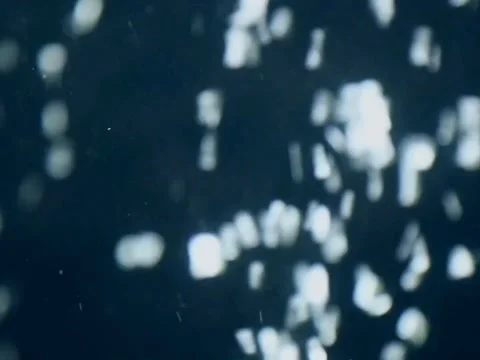 Example Of Viedeo Stock Videos – Royalty-Free HD & 4K Videos | Pond5