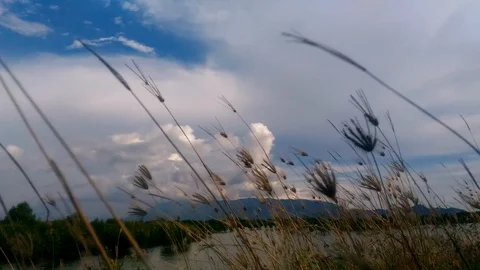 Short Video Videos Stock Videos – Royalty-Free HD & 4K Videos | Pond5