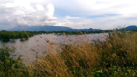 Short Video Videos Stock Videos – Royalty-Free HD & 4K Videos | Pond5