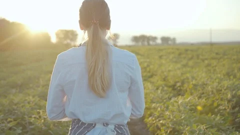 Sunlight Back Stock Videos – Royalty-Free HD & 4K Videos | Pond5