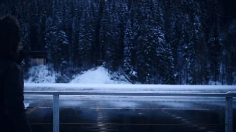 Stand Up Fir Stock Videos – Royalty-Free HD & 4K Videos