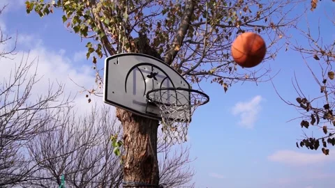 Basketball Fails Stock Video Footage | Royalty Free Basketball Fails ...