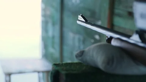 Gun Shot Bullet Stock Videos – Royalty-Free HD & 4K Videos | Pond5