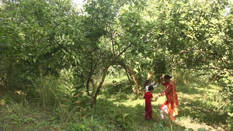 Indian Kids Planting Trees Stock Video Footage | Royalty Free Indian ...
