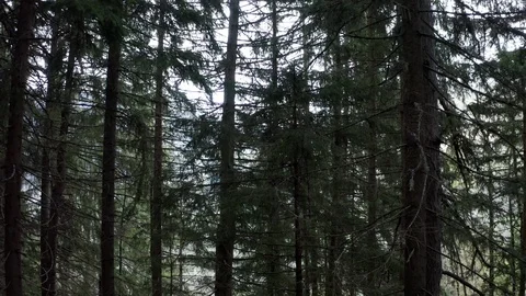 Shot moving backwards in the middle of a... | Stock Video | Pond5