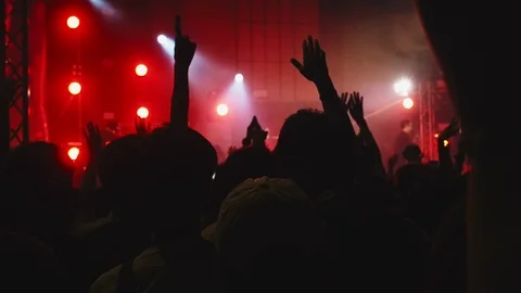 Cheering Fans Stock Footage ~ Royalty Free Stock Videos | Pond5