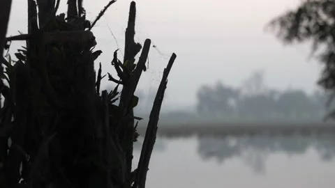Shot of waterlogged damaged crop fields ... | Stock Video | Pond5