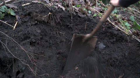 Wall Soil Stock Video Footage | Royalty Free Wall Soil Videos | Pond5