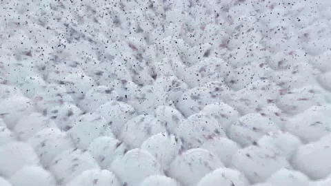 Show A Cloth Stock Videos – Royalty-Free HD & 4K Videos | Pond5