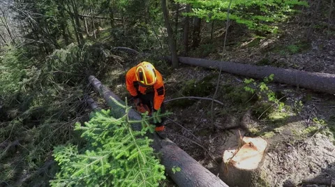 Chainsaw Man Showing Stock Videos – Royalty-Free HD & 4K Videos