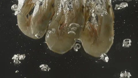 Shrimp Videos Stock Video Footage | Royalty Free Shrimp Videos Videos ...