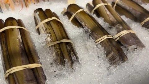 Shrimps and razor clams on ice at seafoo... | Stock Video | Pond5