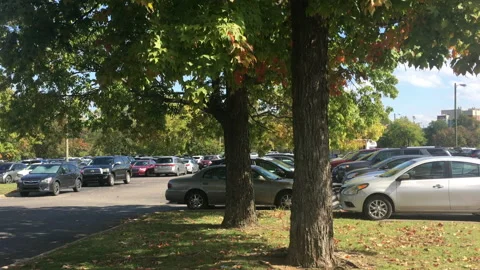 Shuttle bus drives to next bus stop in l... | Stock Video | Pond5