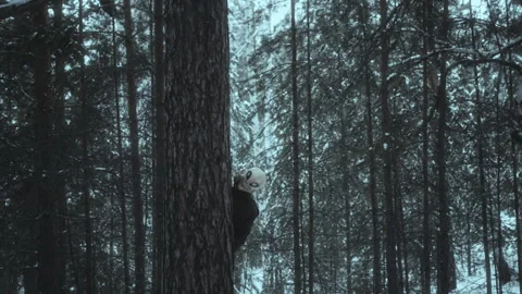 Shy Alien Peeking Out from behind Pine T... | Stock Video | Pond5