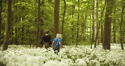 Step Son Watching Stock Videos – Royalty-Free HD & 4K Videos | Pond5